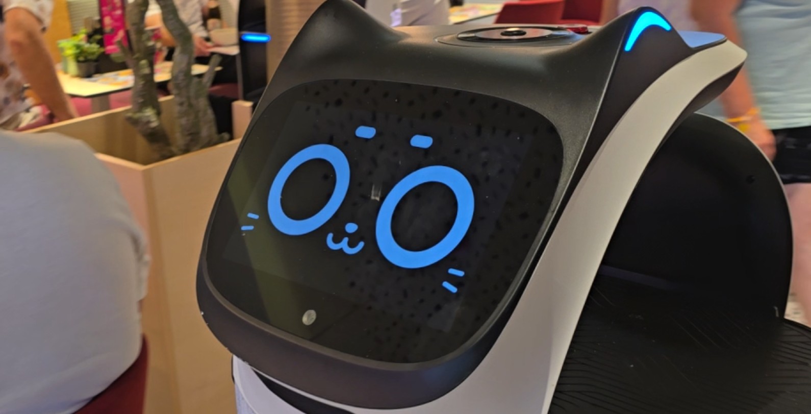 Roboter Kellner – Gut zu wissen
